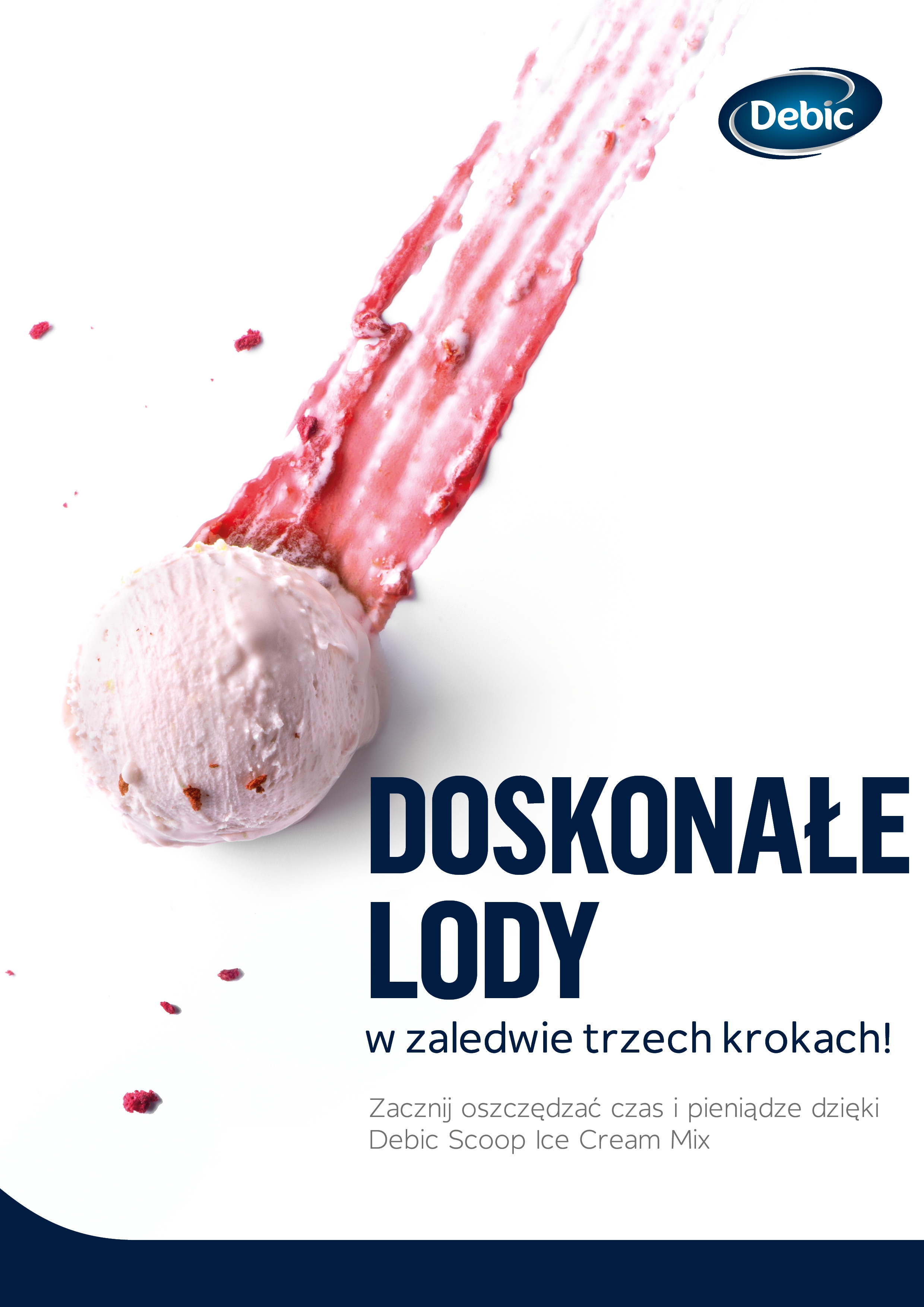 Biblioteka broszur | Debic